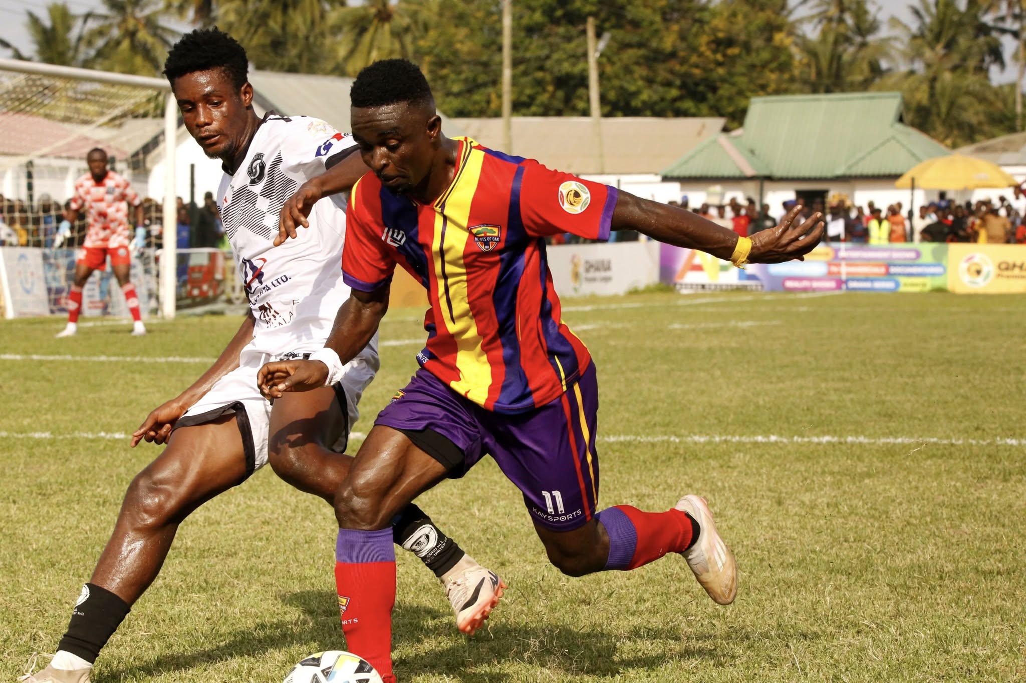 All Blacks Held to Frustrating Draw by Hearts - Obu Sports